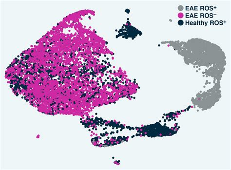 ROS Comparison IMAGE EurekAlert Science News Releases