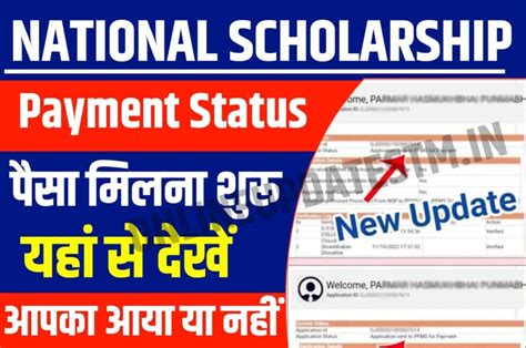 Nsp Payment Status Check Online 2023