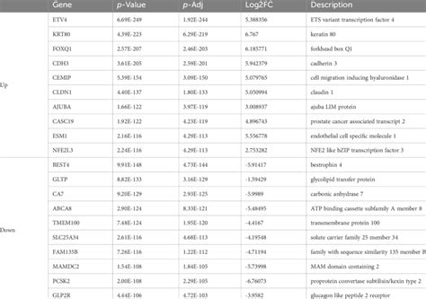 List Of Top Ten Up And Down Regulated Differentially Expressed Genes