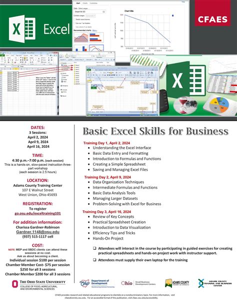basic excel skills for business