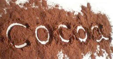 Hot Chocolate Vs Hot Cocoa A Look At The Basic Differences And How To