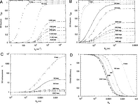 Figure 1 From The Biophysics Of Dna Hybridization With Immobilized Oligonucleotide Probes