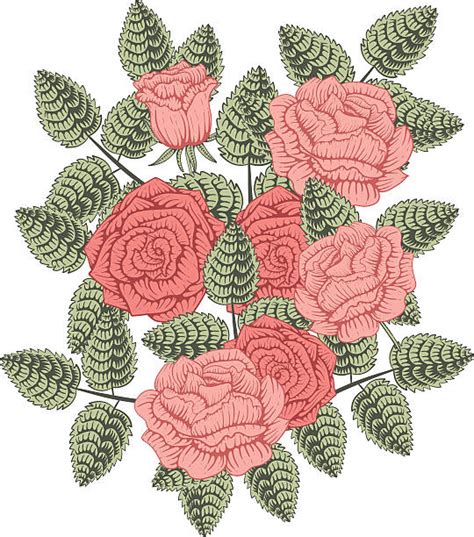 Best Silhouette Of The Hand Holding Beautiful Red Rose Illustrations