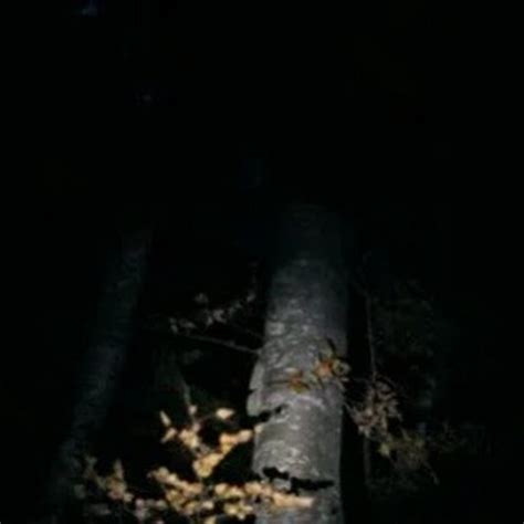 Gamer Touching Grass Youtube