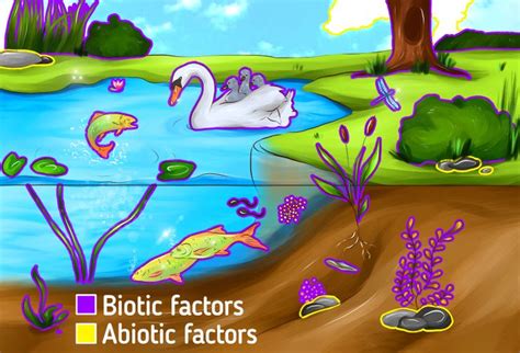 What An Ecosystem Is Minute Crafts