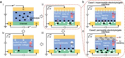 Li‐ion‐based Electrolyte‐gated Transistors With Short Write‐read Delay For Neuromorphic