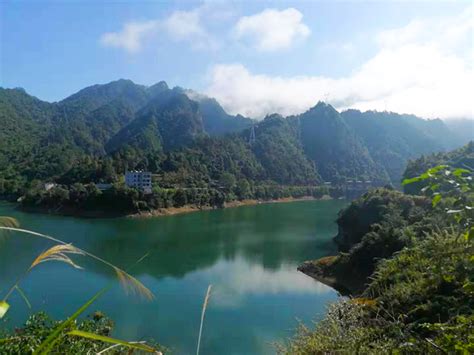 探秘神仙草——张家界莓茶 搜狐大视野 搜狐新闻