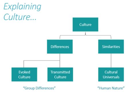 PSYC 305 Final A Flashcards Quizlet