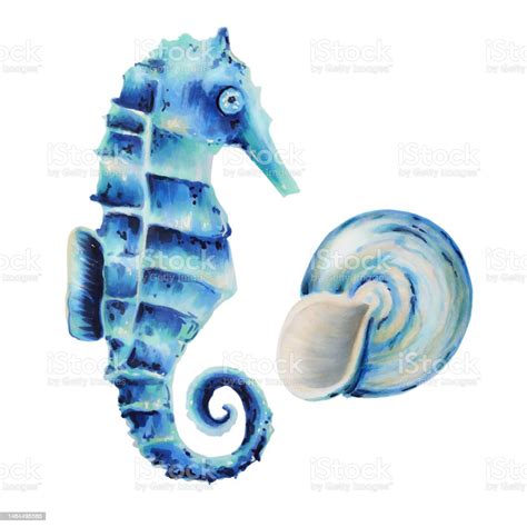수채화 해마와 조개 흰색 고립된 배경에 수중 생물 물체를 손으로 칠하는 클립아트 디자이너 장식 엽서 포장지 스크랩북 표지 초대장 웨딩 디자인 포스터 및 섬유 색칠한 이미지에