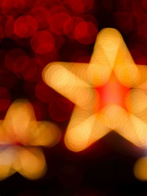 Pam Allardice Rising Star Award of the Year… – Procon Leicestershire