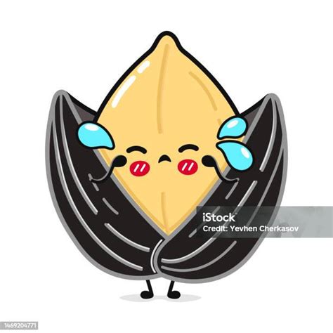 귀여운 우는 해바라기 씨앗 캐릭터 벡터 손으로 그린 만화 Kawaii 캐릭터 그림 아이콘입니다 흰색 배경에 격리 슬픈 해바라기 씨앗 캐릭터 개념 0명에 대한 스톡 벡터 아트