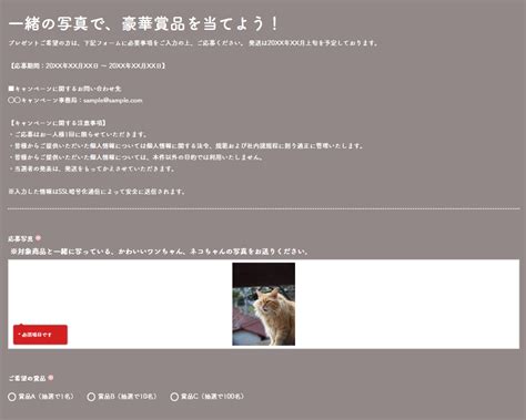顧客情報の獲得にマーケティングに使えるフォームの活用アイディア7選成果につながるWebスキルアッププログラム