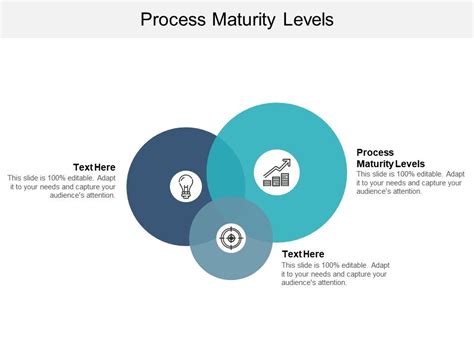 Process Maturity Levels Ppt Powerpoint Presentation Professional