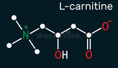 Levocarnitina Carnitina Molécula C7h15no3 Fórmula Química Esquelética