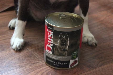 Корма Darsi: влажные и сухие. Состав кормов производителя. «Мясное ...