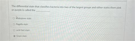 Solved The Differential Stain That Classifies Bacteria Into