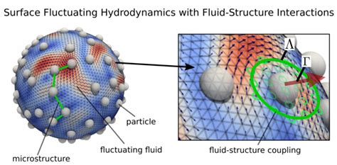 Surface Fluctuating Hydrodynamics Methods For The Drift Diffusion Dynamics Of Particles And