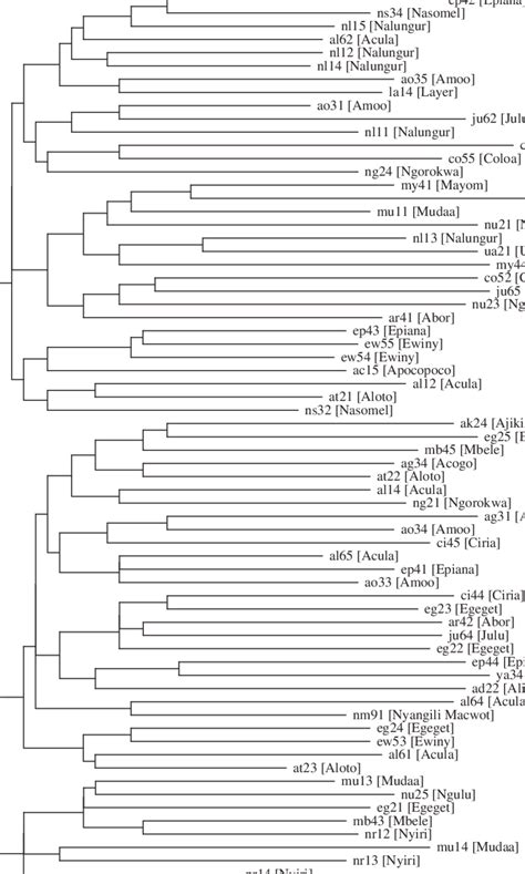 Neighbour Joining Phenogram Based On A Dissimilarity Matrix And Simple