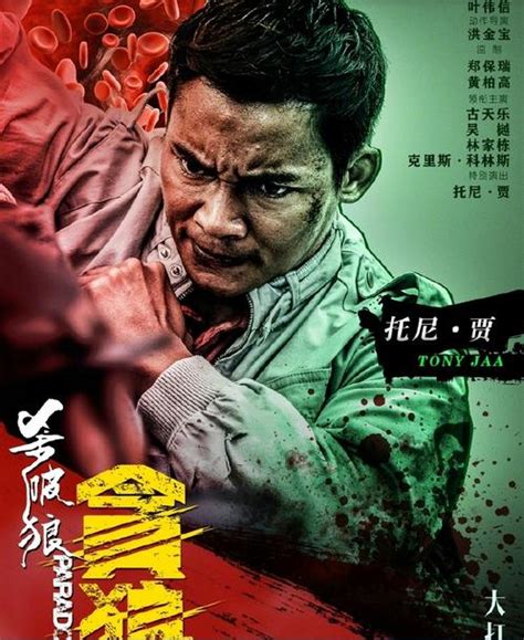 殺破狼貪狼將在8月17號開播網友們準備好觀看了沒有 每日頭條