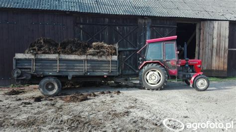 Foto traktor Ursus c 330m rozrzutnik czarna białostocka 3 5 t id