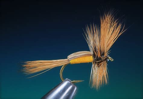 Pêcher à la mouche avec une mouche sèche Tenkara World