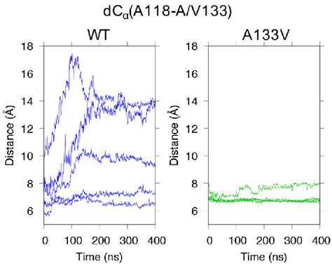 Fluctuations In The Average Distance Between C α Atoms Of A118 And Download Scientific Diagram