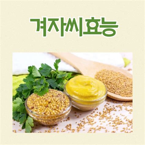 겨자씨 효능 8가지와 부작용 네이버 블로그