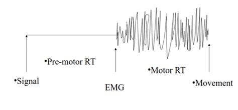 4 Information Processing Flashcards Quizlet