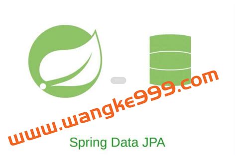 spring data jpa数据访问层编程原理与实战 爱学习