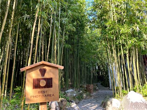 美食紀錄台北陽明山 CAMA COFFEE ROASTERS 豆留森林 MY TRIP MY LIFE