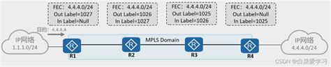 Mpls技术基础mpls Exp Csdn博客