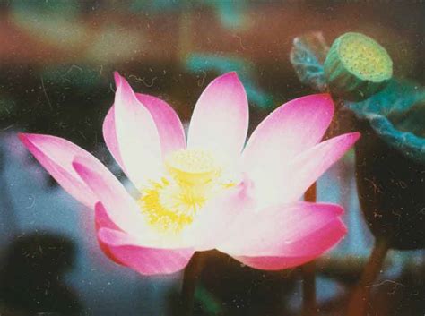 Meditação guiada afirmações para abundância em 432 Hz a frequência
