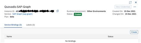 Unboxing Sap Graph Early Adopter Release Sap Community