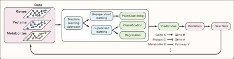 Next Generation Machine Learning For Biological Networks Cell