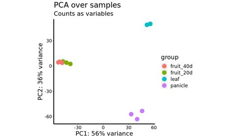 Project Description Igem Mexico