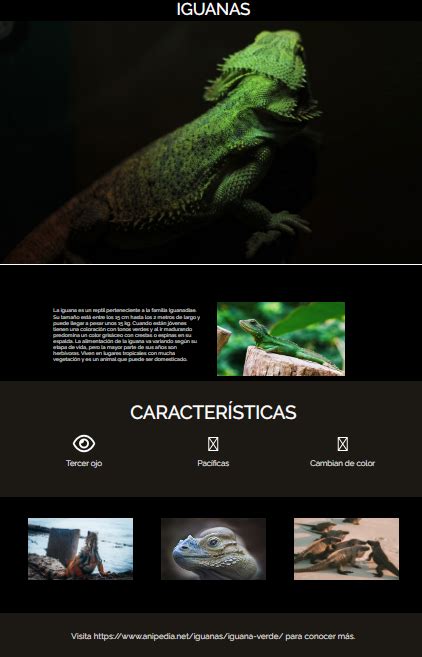 Portafolio Francisca Villenas