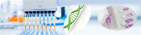Streamline Your Dna Extraction From Ffpe And Fna Samples Bioclone Inc