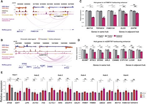 Integrative Analysis Of Liver Specific Non Coding Regulatory Snps Associated With The Risk Of