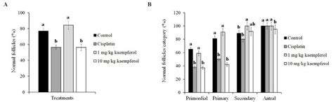 Percentages Of A Total Morphologically Normal Follicles And Of B