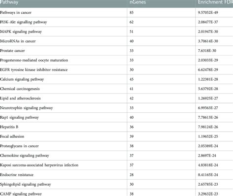Pathway Enrichment Analysis Top 20 Download Scientific Diagram