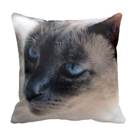 Aloof Siamese Cat Throw Pillow Zazzle Siamese Cats Cat Throw