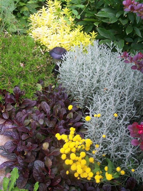 Моята градина