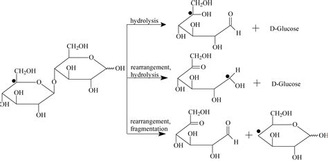 Hydrogels Methods Of Preparation Characterisation And Applications