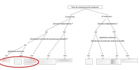 Diagramme De Tests Stats Quizlet