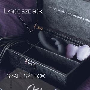 Luxurious Sex Toy Storage Box With Code Lock Etsy
