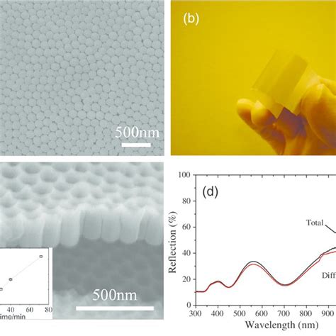 A Bottom View Of Tio 2 Nanotube Film Imaged By Sem After First Step