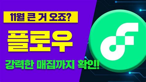 11월 큰 거 오죠 플로우 강력한 매집까지 확인플로우 플로우전망 플로우코인 플로우코인전망 플로우코인호재 플로우