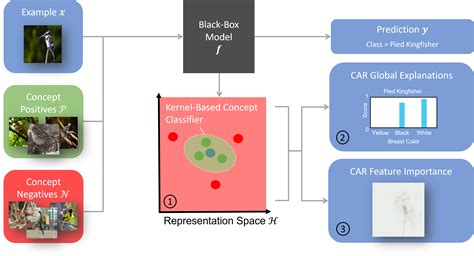 Concept Activation Regions A Generalized Framework For Concept Based Explanations Jonathan Crabbé