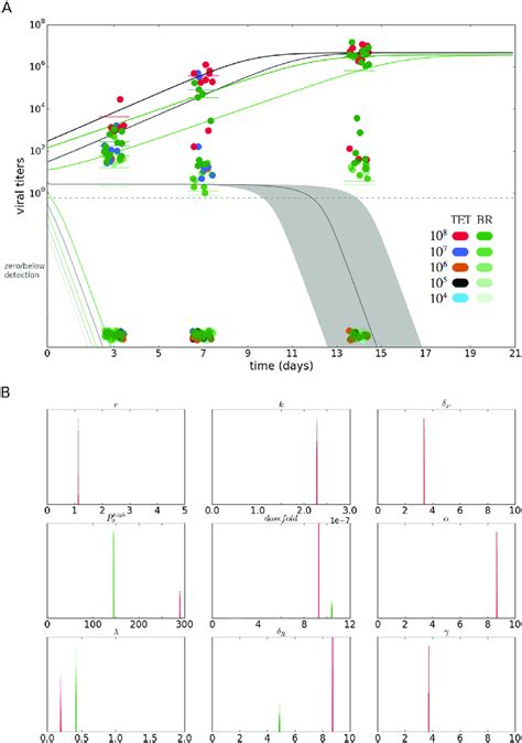Dynamic Model Estimate And Posterior Parameter Distributions A Fit