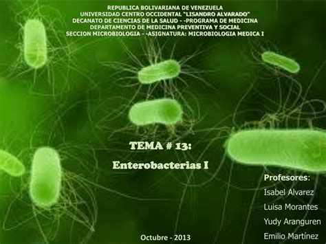Ppt Tema 13 Enterobacterias I Powerpoint Presentation Free